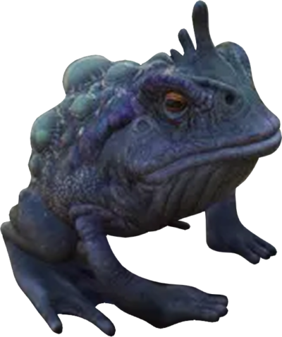 Hogwarts Legacy Cliparts