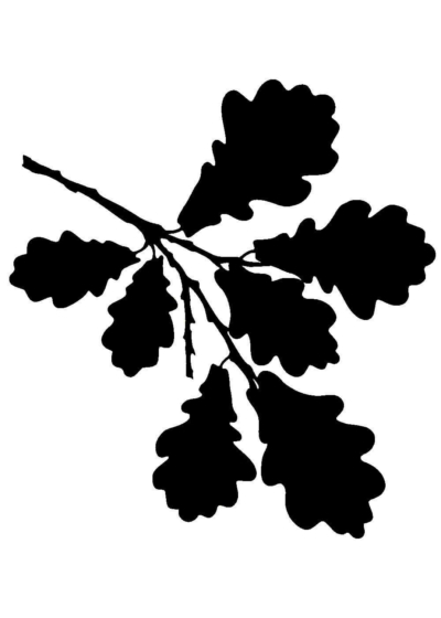 Leaf Stencil | Free Printable or Download